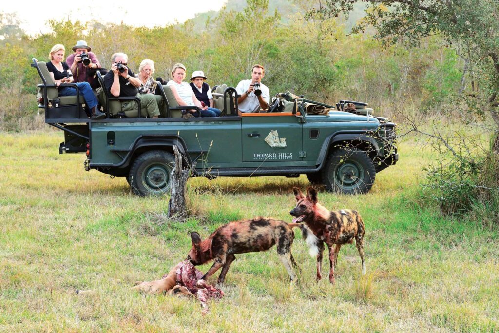 Game Drive Etiquette - Leopard Hills