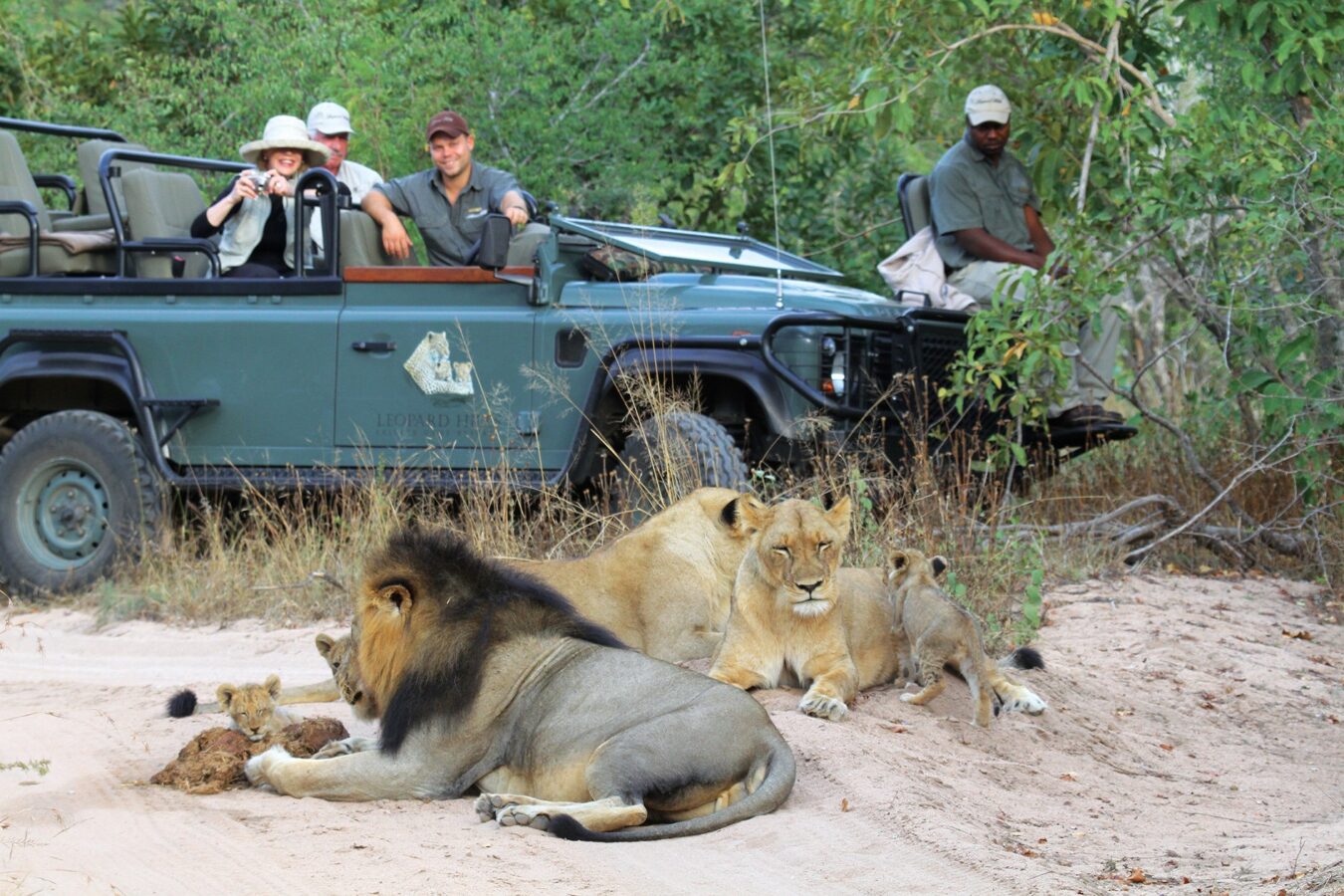 Game Drive Etiquette - Leopard Hills