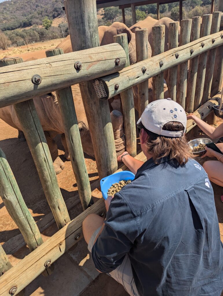 Bush Bulletin - September 2024 - Leopard Hills Private Game Reserve